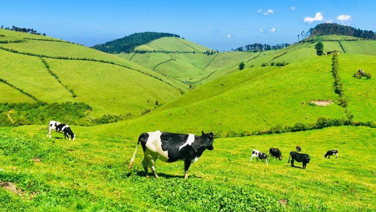 Cultural Tour to Bigogwe Farm in Rwanda