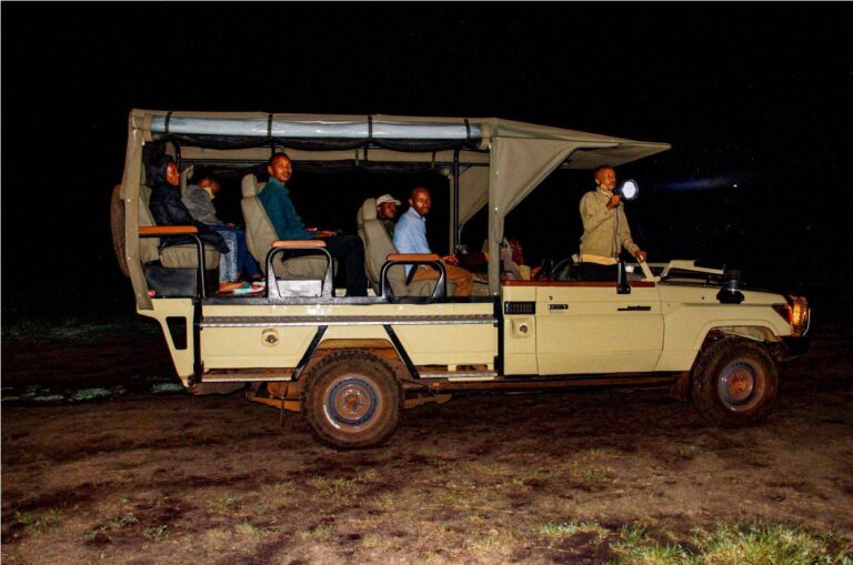 Night Game Drives in Akagera National Park
